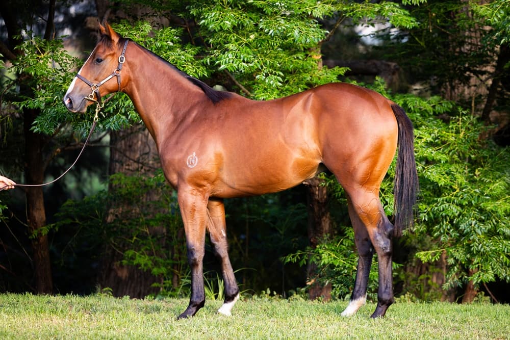 Grafterburners puts on the afterburners to jet away from Sunlight field ...