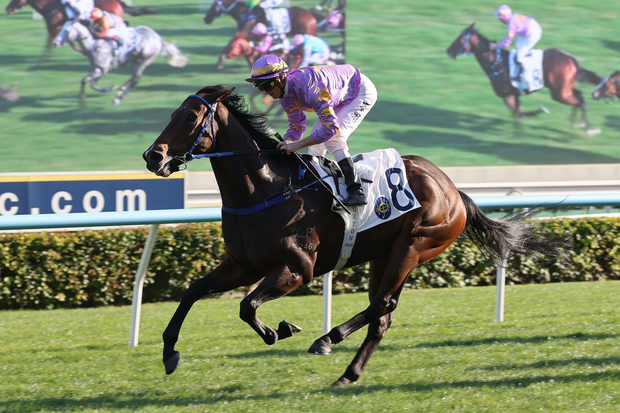 Balius Farm prepare for first ever Magic Millions draft - ANZ News ...