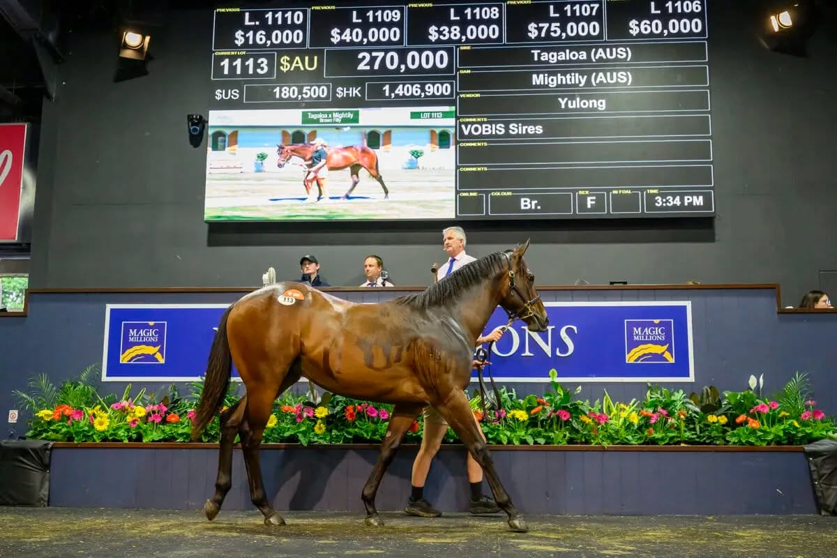 Ottobre goes to $270,000 for Book 2 topper as curtain comes down on ...