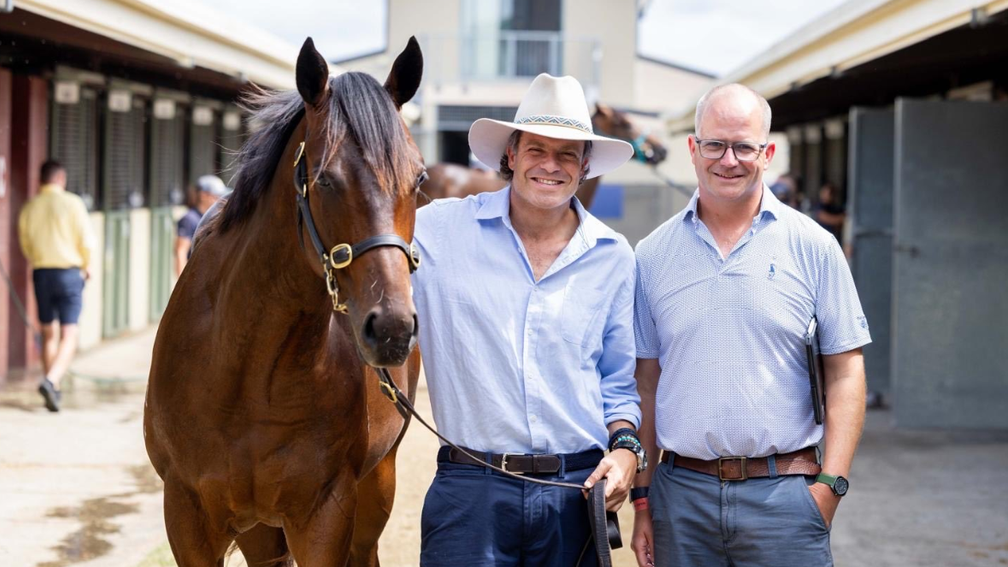 Quality hailed as Inglis Easter Sale catalogue is revealed - ANZ News ...