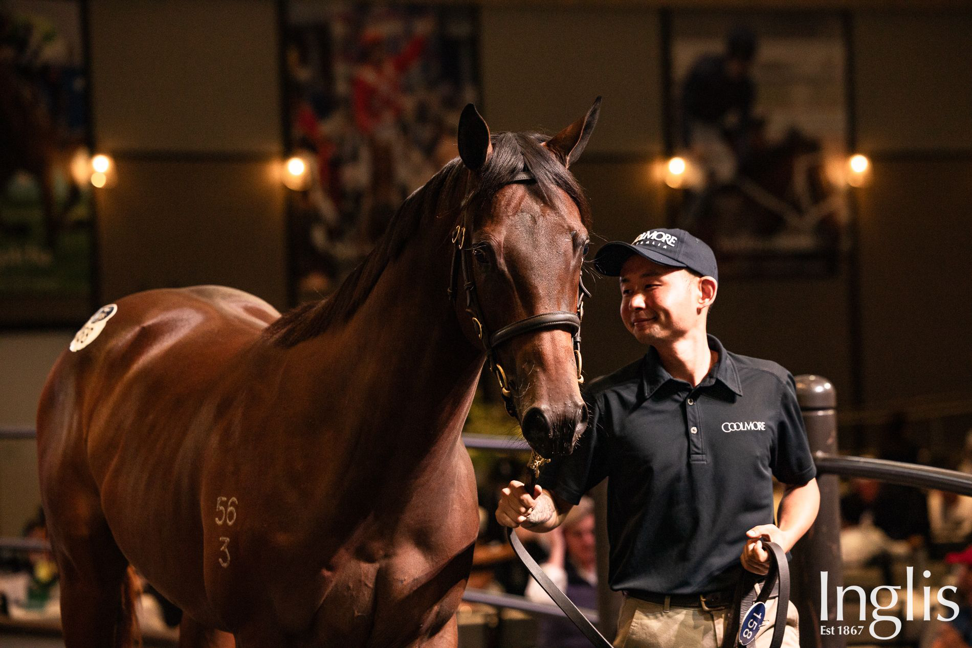 Quality hailed as Inglis Easter Sale catalogue is revealed - ANZ News ...