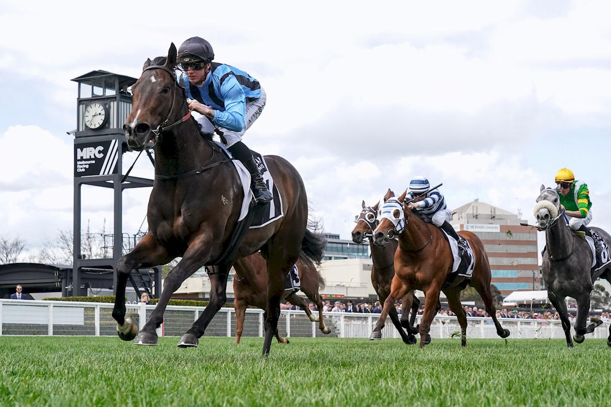 Quality hailed as Inglis Easter Sale catalogue is revealed - ANZ News ...
