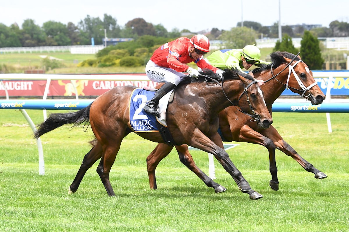 Eternal Warrior set to tune up for Blue Diamond task in Caulfield’s ...