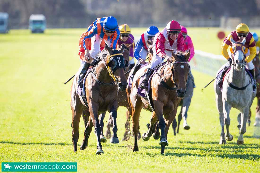 Kay Cee’s career-best Timeform performance continues three-year-olds ...