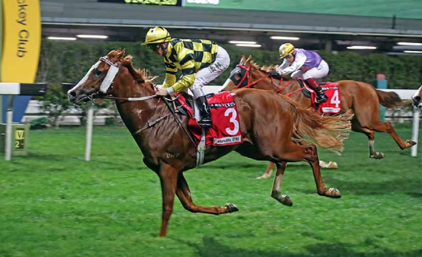 Not A Single Doubt colt speeds to Valley track record - ANZ Bloodstock News