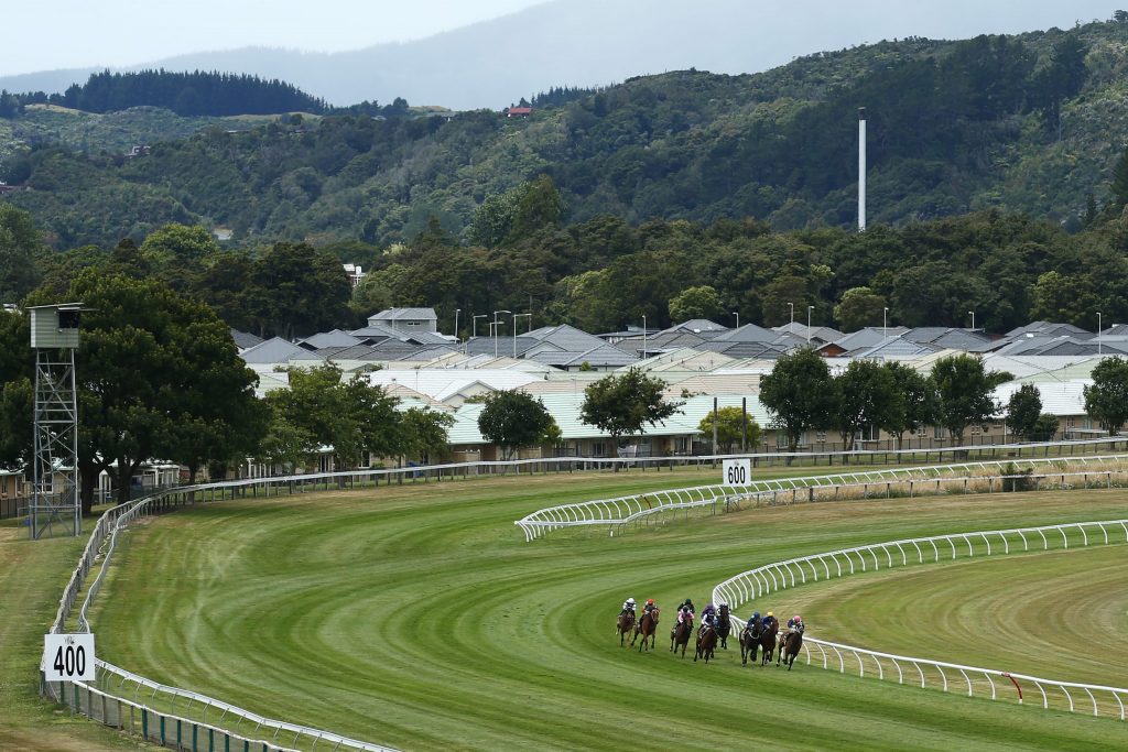 Draft racing calendar released - ANZ Bloodstock News