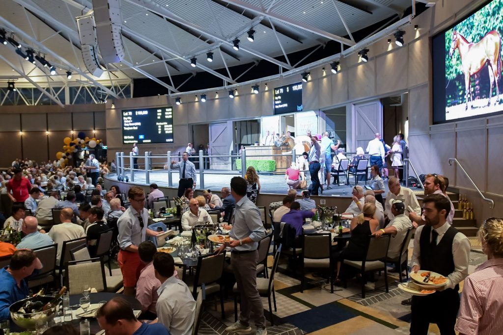 Green light for live Inglis auctions at Riverside - ANZ Bloodstock News