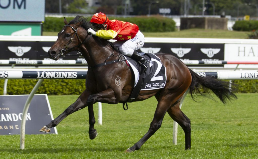 Cosmic Force retires to Newgate Farm - ANZ Bloodstock News