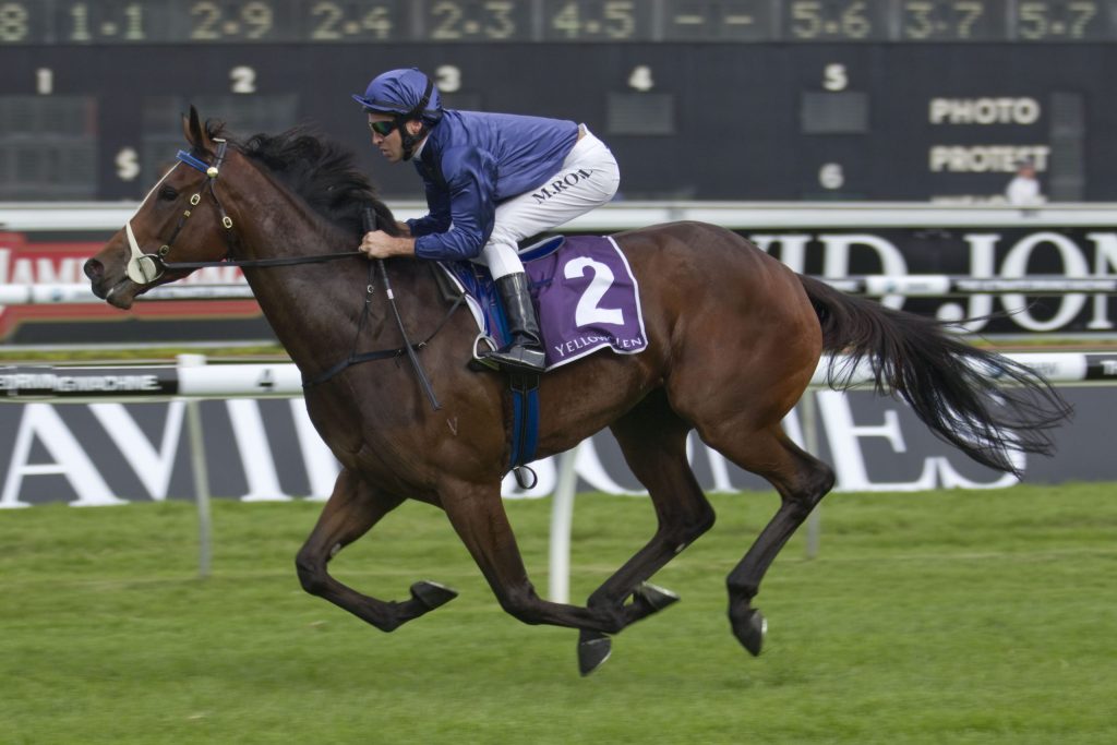 Irish racing returns with a taste of Australia - ANZ Bloodstock News