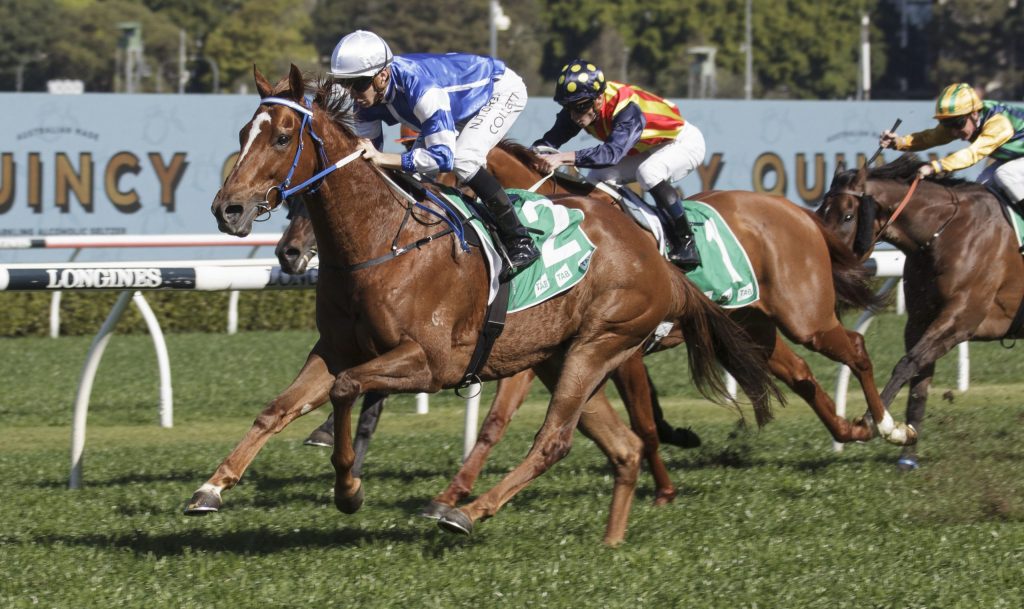 Gytrash again upstages Waller’s Nature Strip - ANZ Bloodstock News