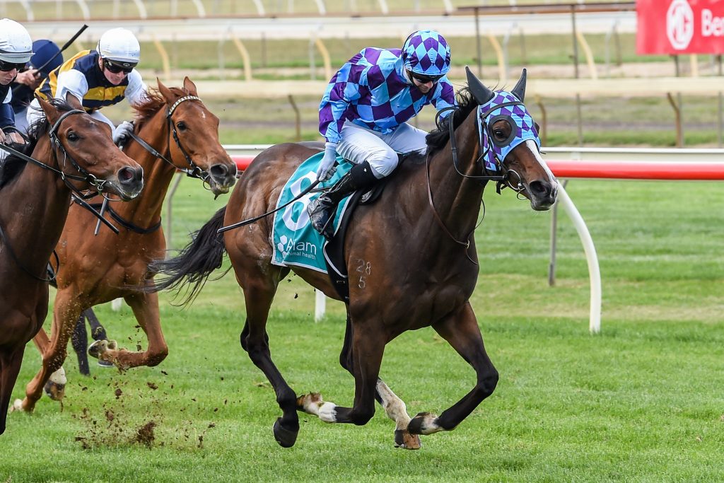 Princess Jenni upsets Cup aspirants in Bendigo feature - ANZ Bloodstock ...