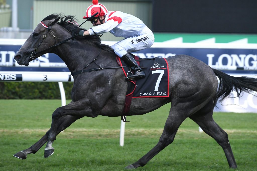 Classique Legend - ANZ Bloodstock News