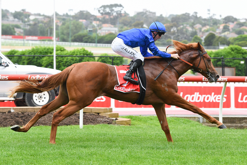 Paulele to stand at Darley Victoria - ANZ Bloodstock News