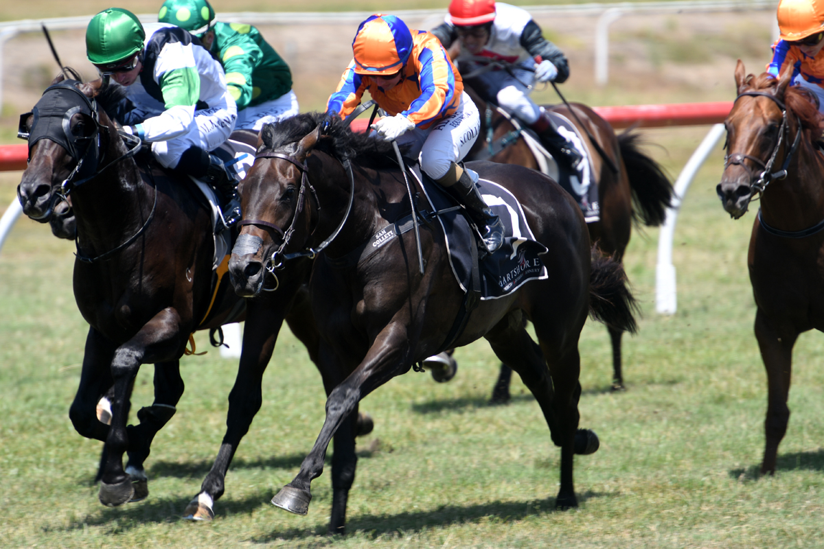 Millefiori blooms for Totara Park ahead of Karaka - ANZ Bloodstock News