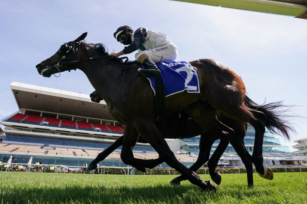 Brisbane trainers allowed to attend Magic Millions sales complex - ANZ ...
