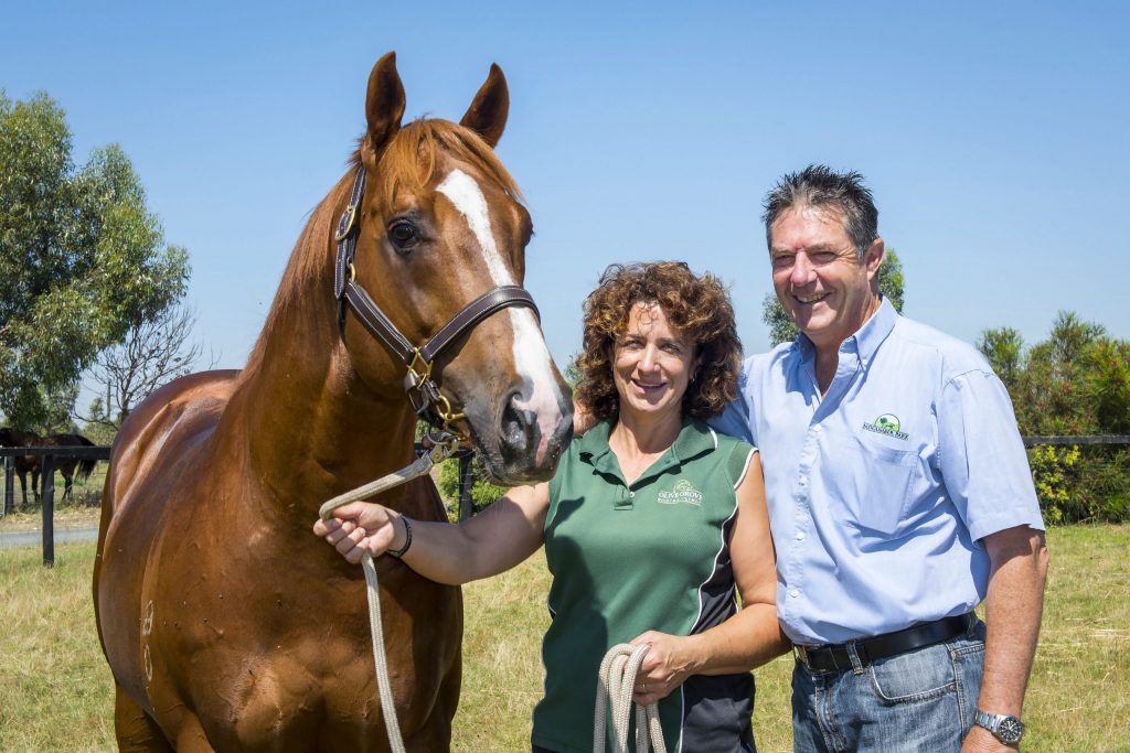 ‘If we lose it, we lose it, but at least we won’t lose any people or ...