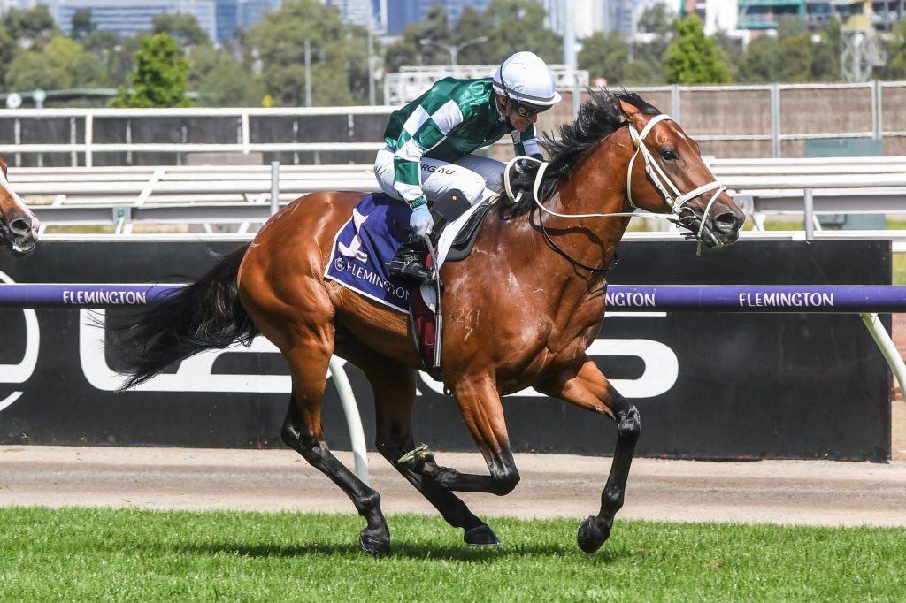 Tagaloa bids to make history - ANZ Bloodstock News