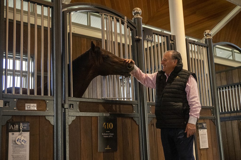 The Verdict: Australia’s industry players evaluate its vibrant market ...