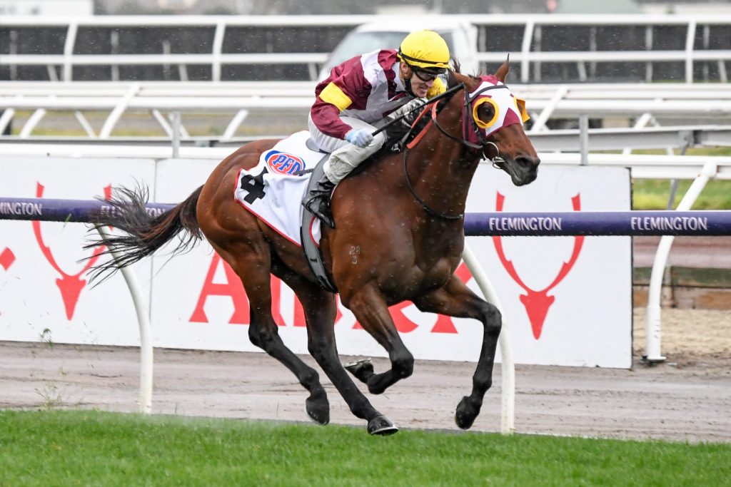 Victoria’s Leneva Park Seymour launches Fierce Impact at fee of $16,500 ...