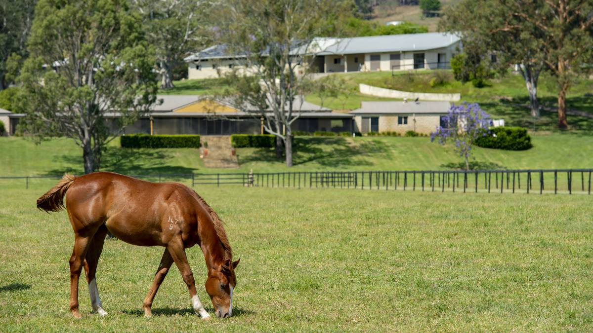 Australian rural land at an all-time high - ANZ Bloodstock News