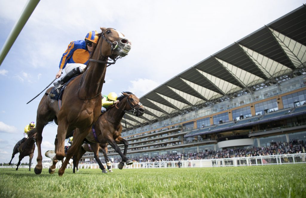 Love is all heart as she defies long layoff in thrilling Prince Of ...