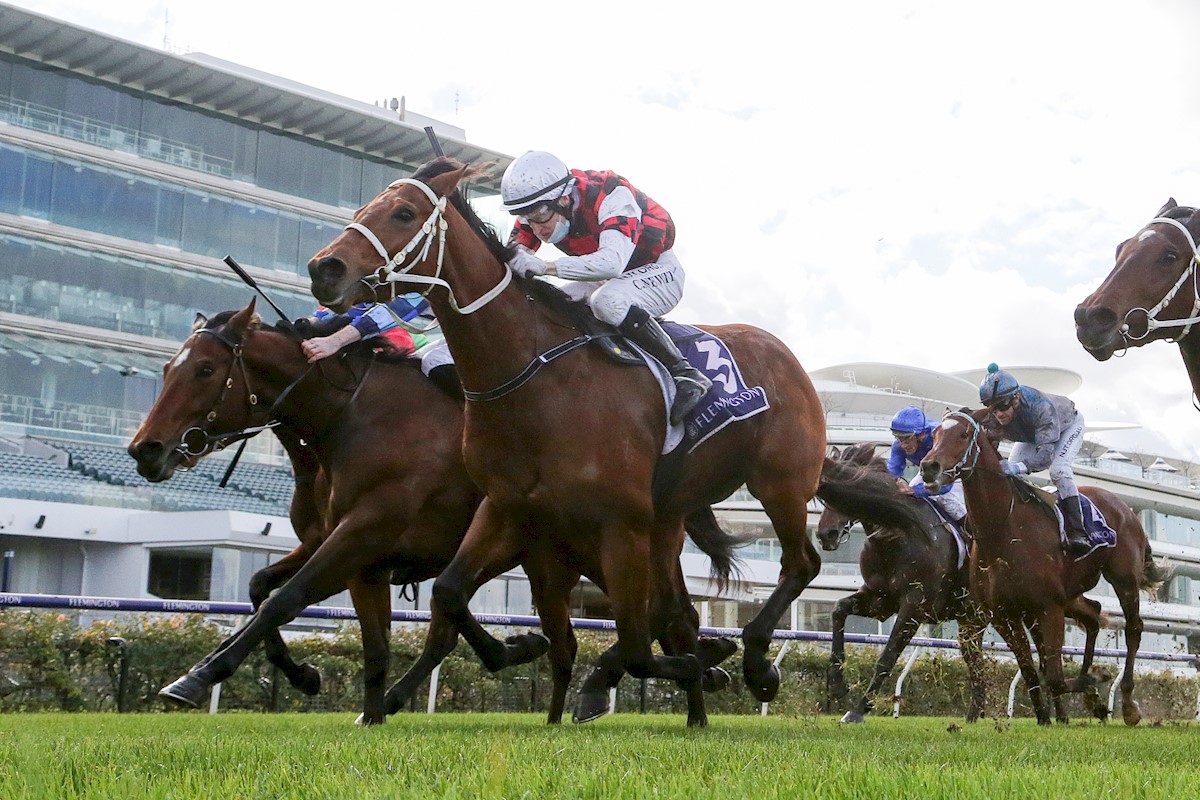 Savabeel can top Australasian stakes winners charts with Celestial Fury ...