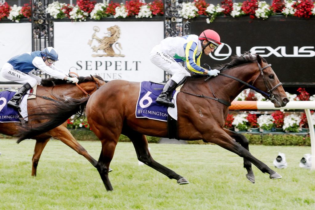 Written Tycoon’s stakes-winning son Banquo to stand at Waikato Stud ...
