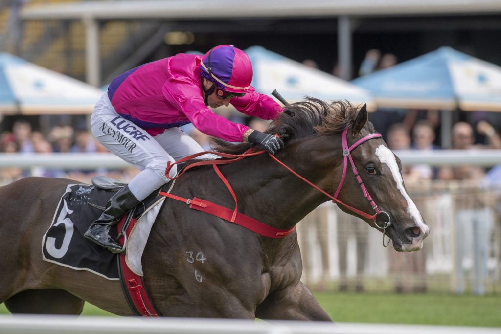 Calaway Gal winner Better Reflection sells for $350,000 - ANZ ...