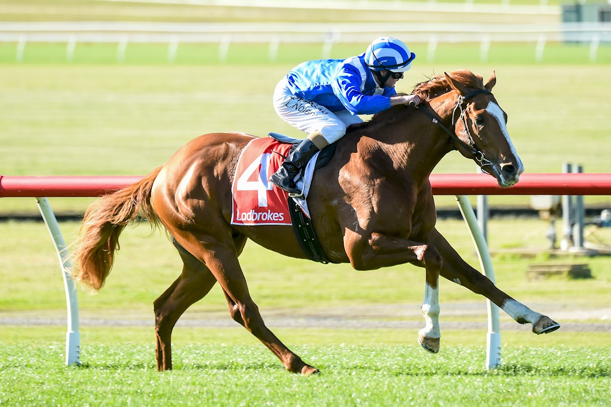 Leneva Park backs Deep Field’s son Aysar and Lindsay Park’s next ...