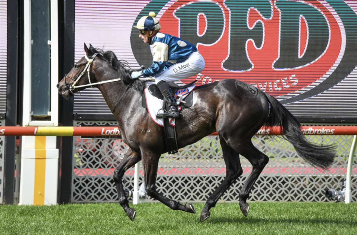 Four studs, four stories - ANZ Bloodstock News