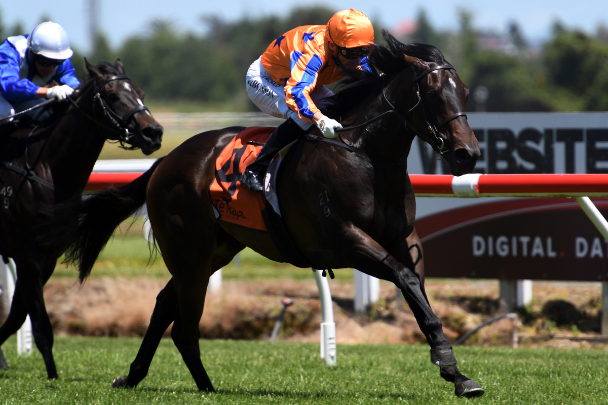 Ellis and returning Walker hunting for more riches on the Gold Coast ...