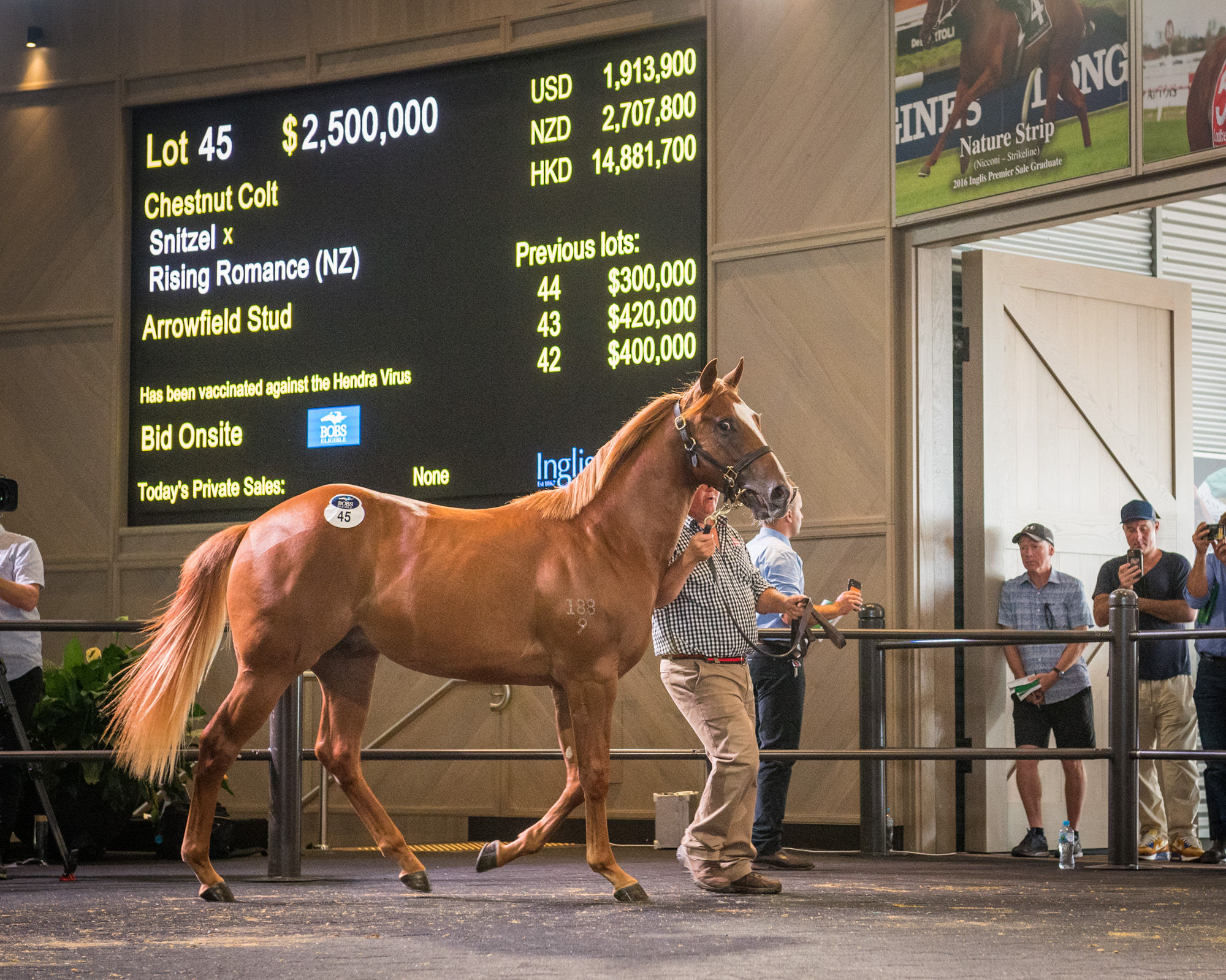 Easter catalogue released for Inglis’ 2022 showpiece auction - ANZ ...