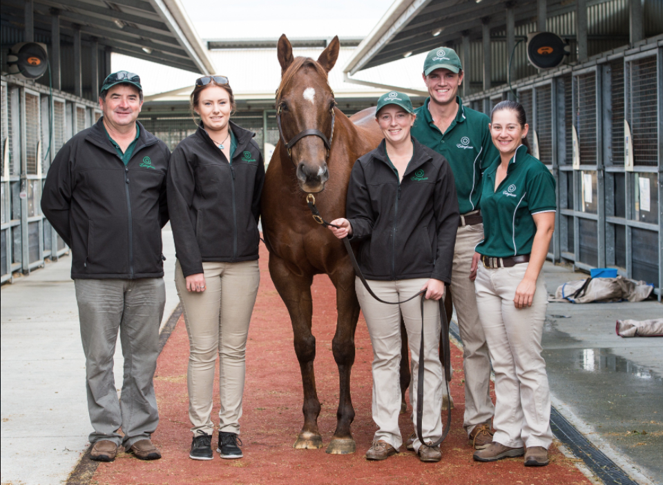 Edinglassie seeing there is power in a union - ANZ Bloodstock News