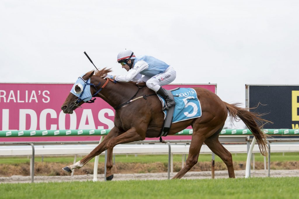 Mishani team Ross, Crooks prepare for warfare with Spartan - ANZ ...