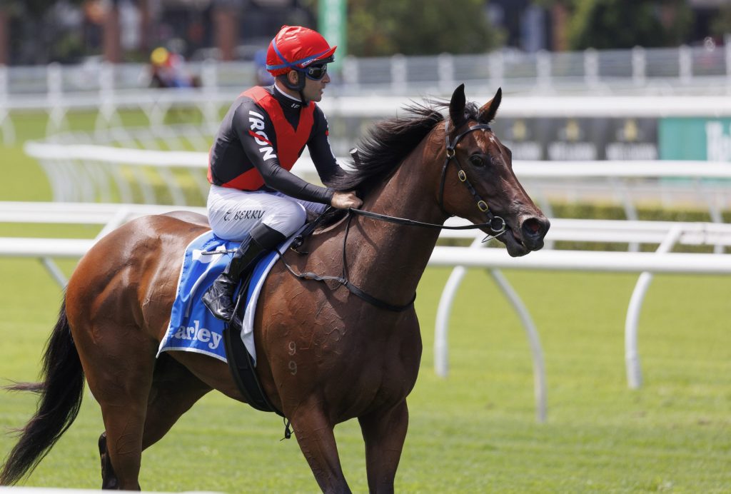 Cythera a tribute to Highgrove’s Secret - ANZ Bloodstock News