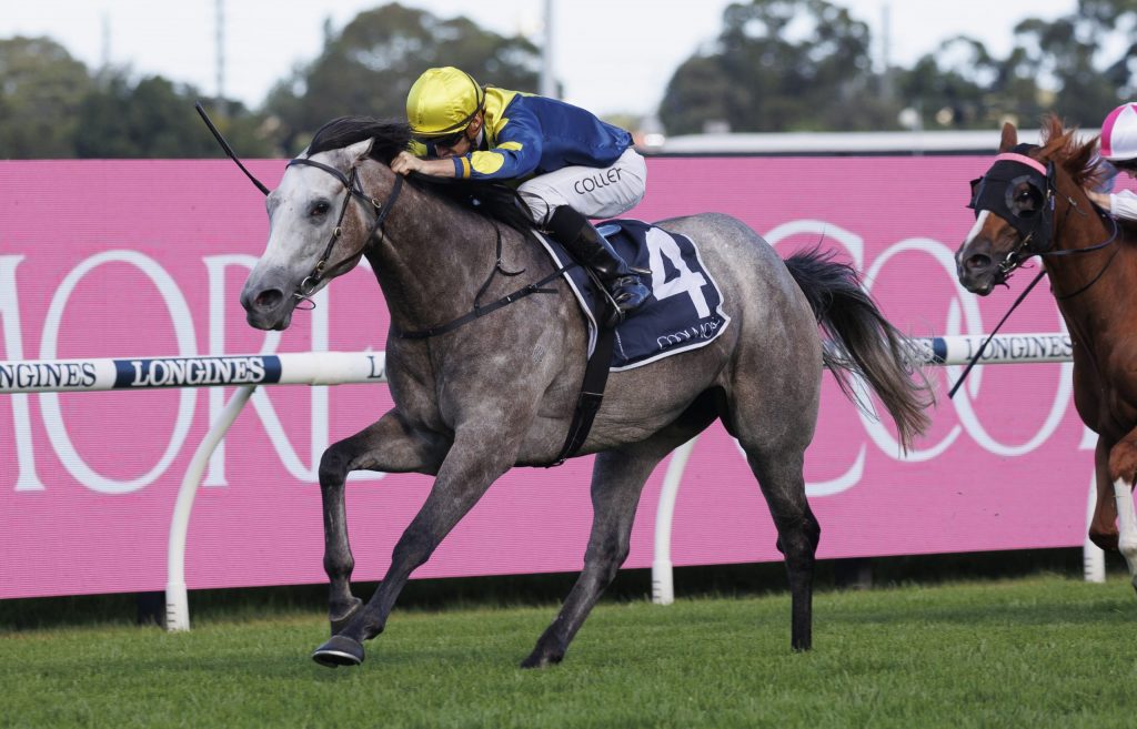 US celebrations once more in Coolmore Classic - ANZ Bloodstock News