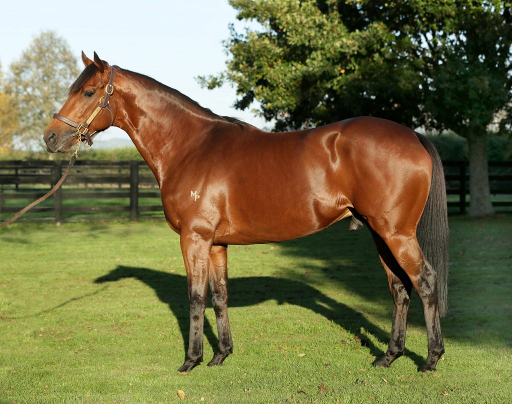 Ten for Mizzen Mast - ANZ Bloodstock News