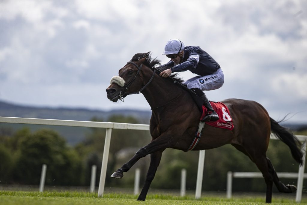 Lee looking off the Grid with Inglis Digital import - ANZ Bloodstock News