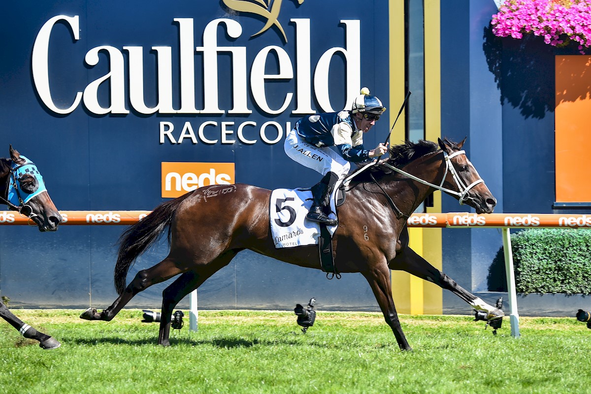 Rare mare Sierra Sue to be offered on Inglis Digital - ANZ Bloodstock News