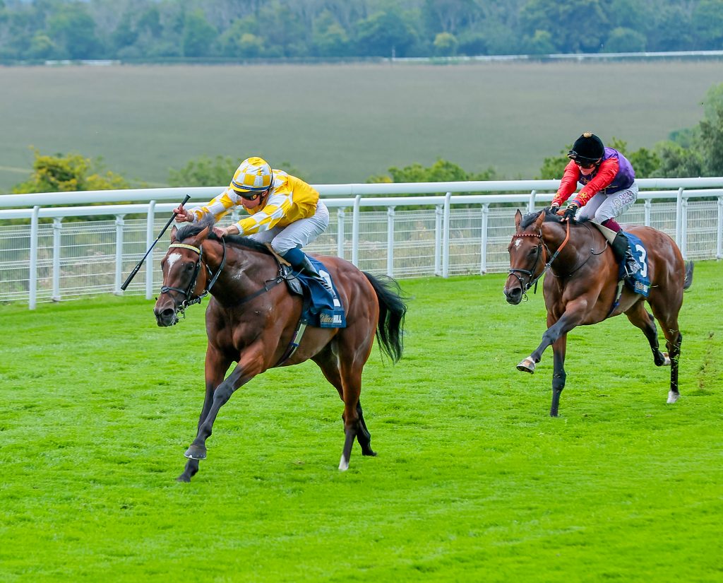 Hoo Ya Mal continues on path towards Melbourne Cup - ANZ Bloodstock News