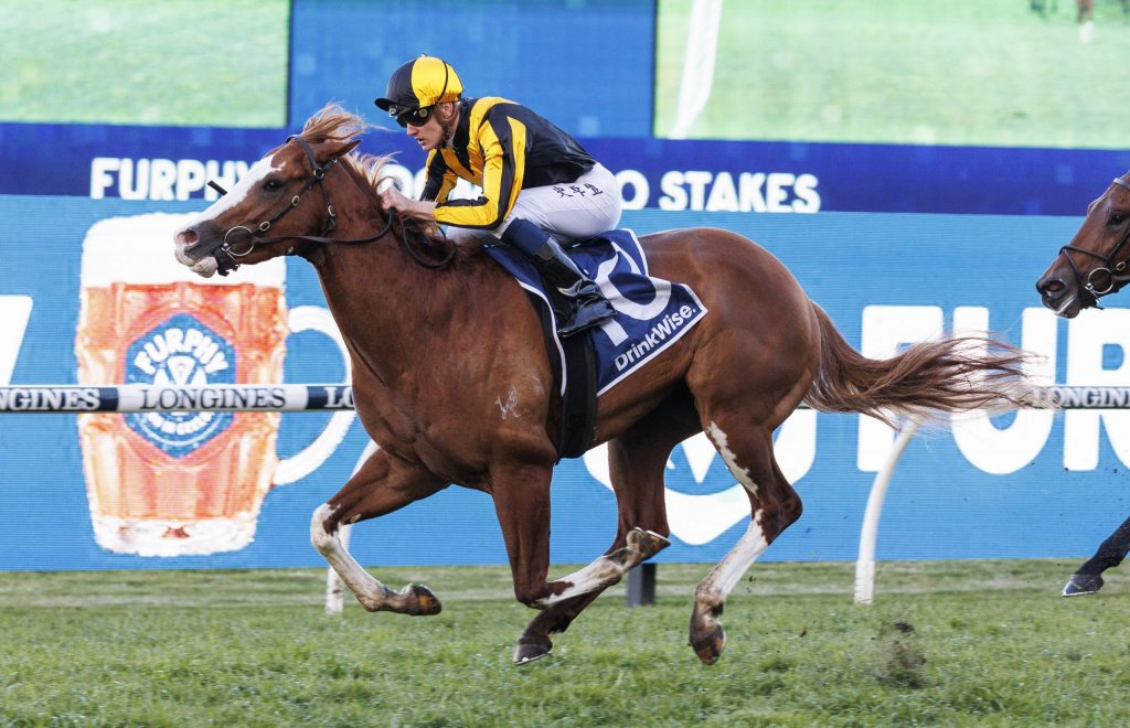 Freedman’s provincial-winning colts to provide spring challenge - ANZ ...