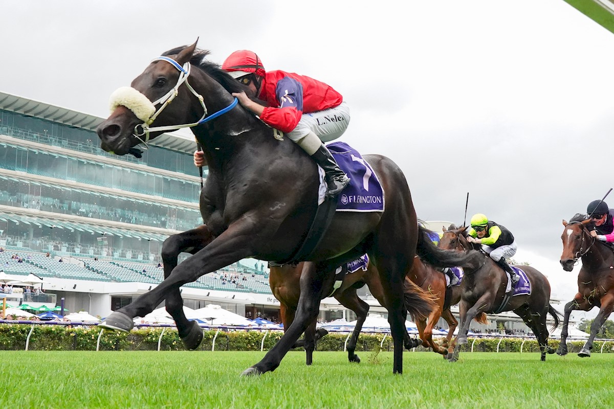Spring clues galore for Glentree in both Melbourne and Sydney - ANZ ...