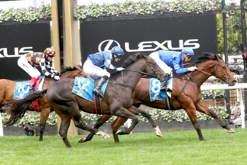 Widden revel in early success for Supido as Zoustar amasses three-year ...