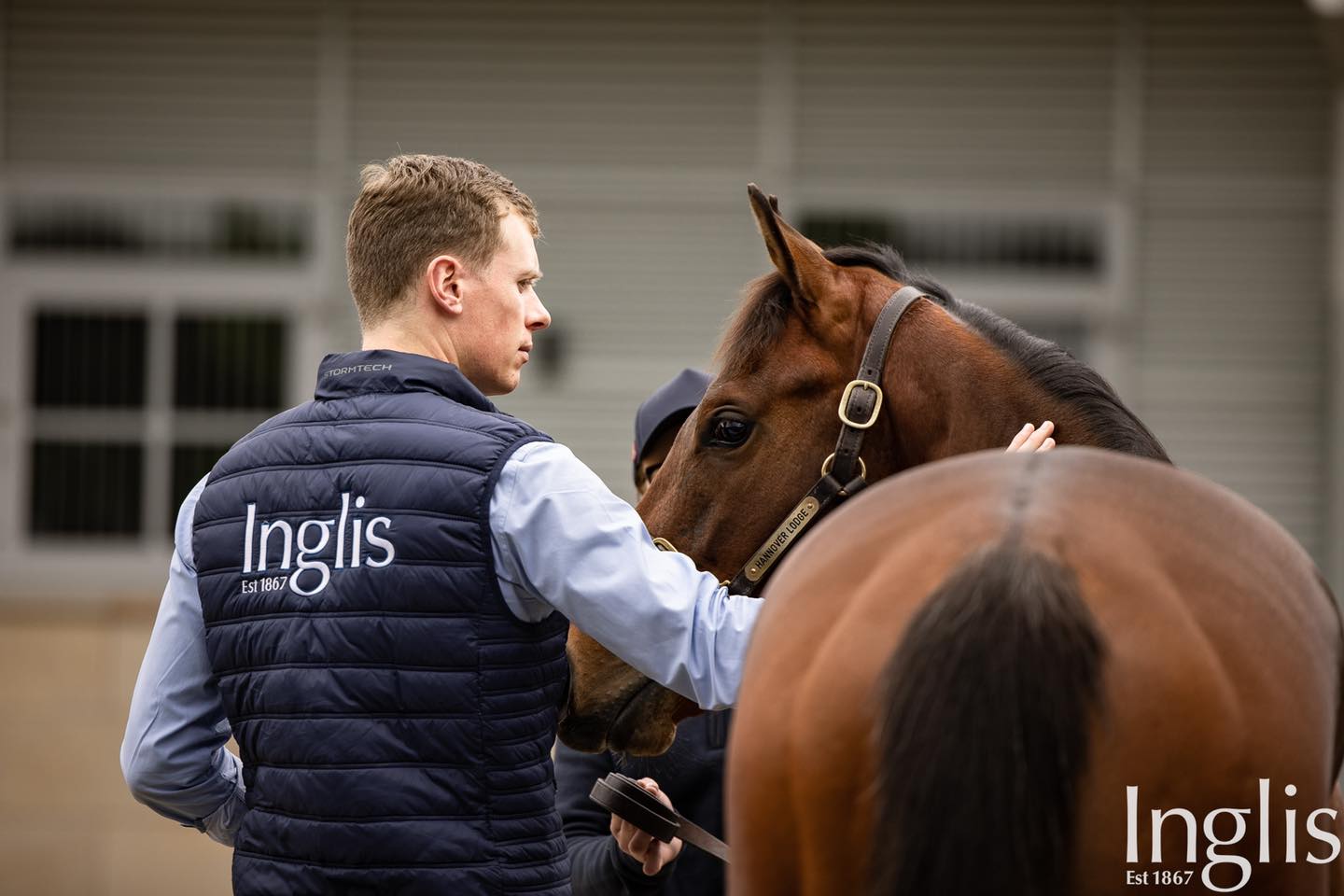 International investors to play prominent role at Inglis Ready2Race ...