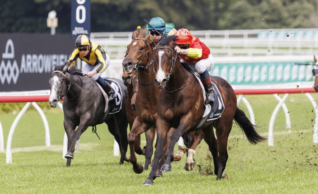 Corumbene to the fore once more courtesy of Snitzel colt - ANZ ...