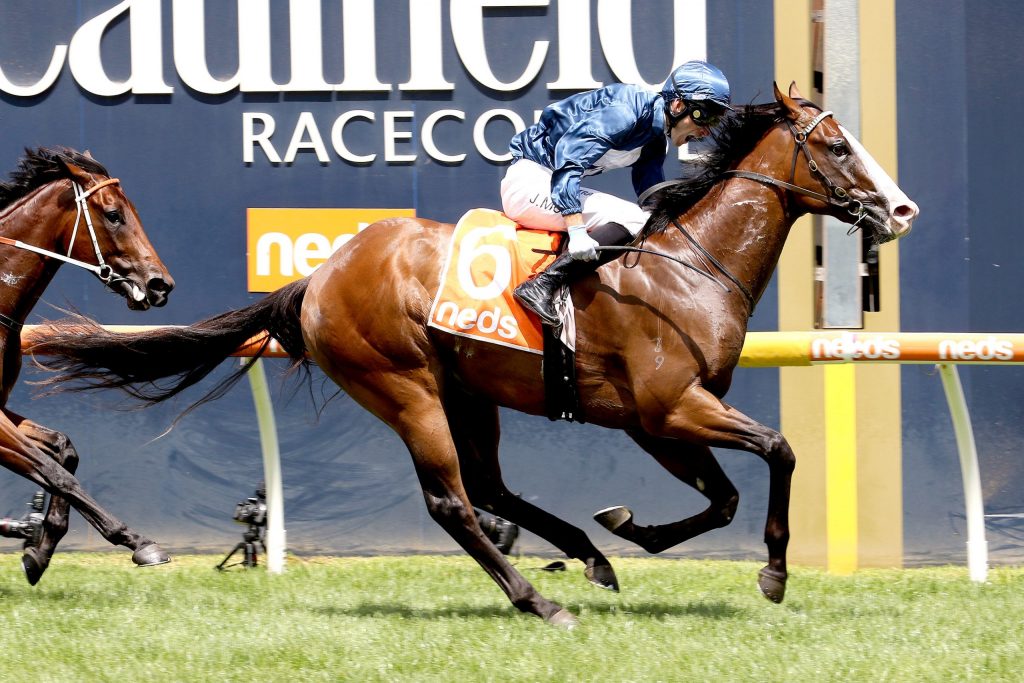 Sandhu has Lofty ambitions for Strike - ANZ Bloodstock News