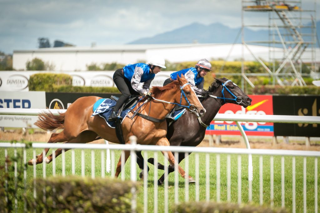 Lean Mean Machine colt sets the pace - ANZ Bloodstock News