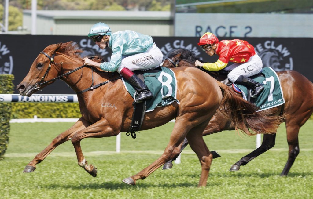 Slade lauds early success with new ‘Valerie’ partnership - ANZ ...