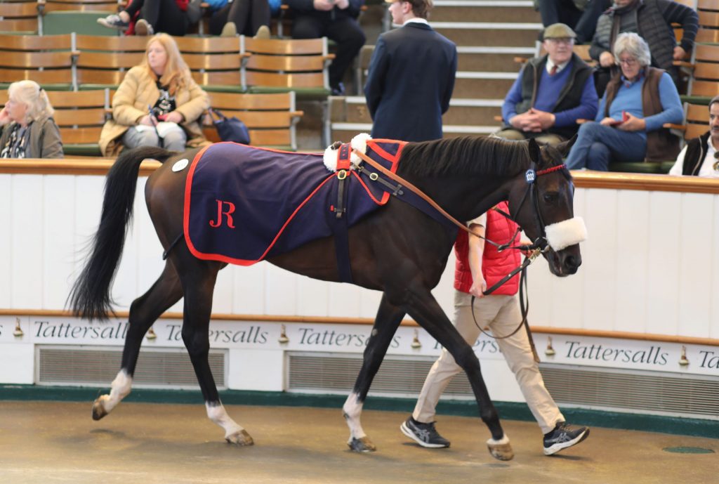 Mulcaster leads the way again with 310,000gns purchase - ANZ Bloodstock ...
