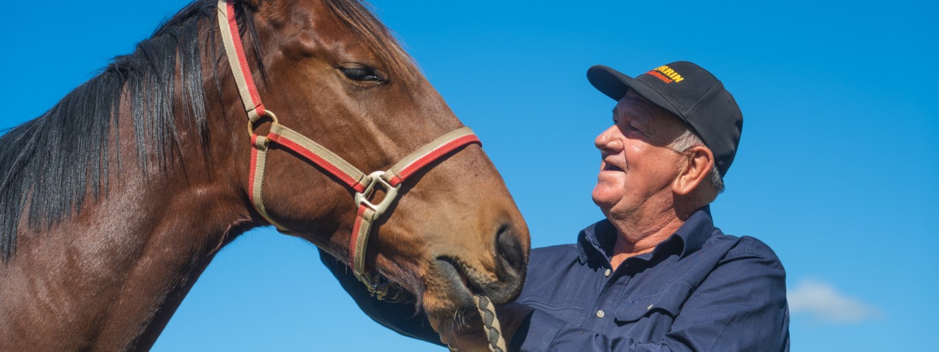 Sherrin’s Frankel appeal sees breeder strike at Tattersalls - ANZ ...